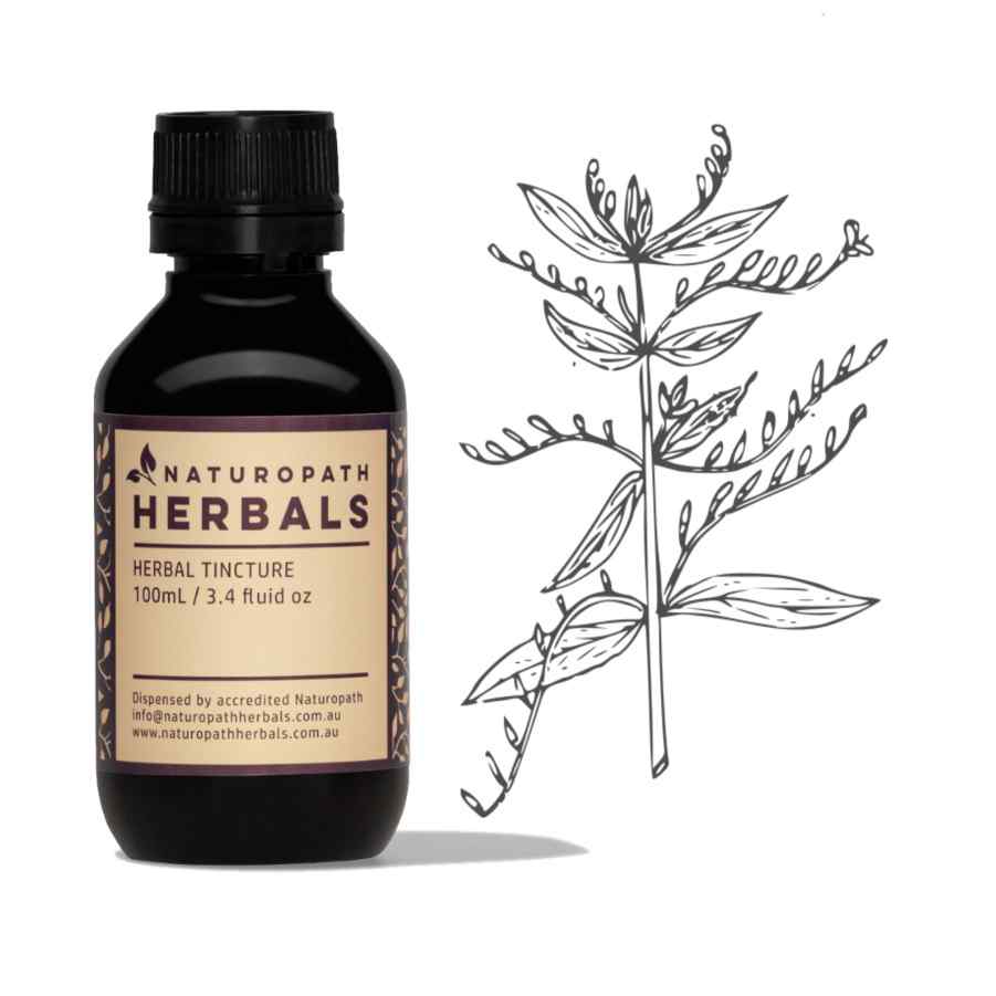 Andrographis Liquid Extract Tincture 50-500ml | Naturopath Herbals