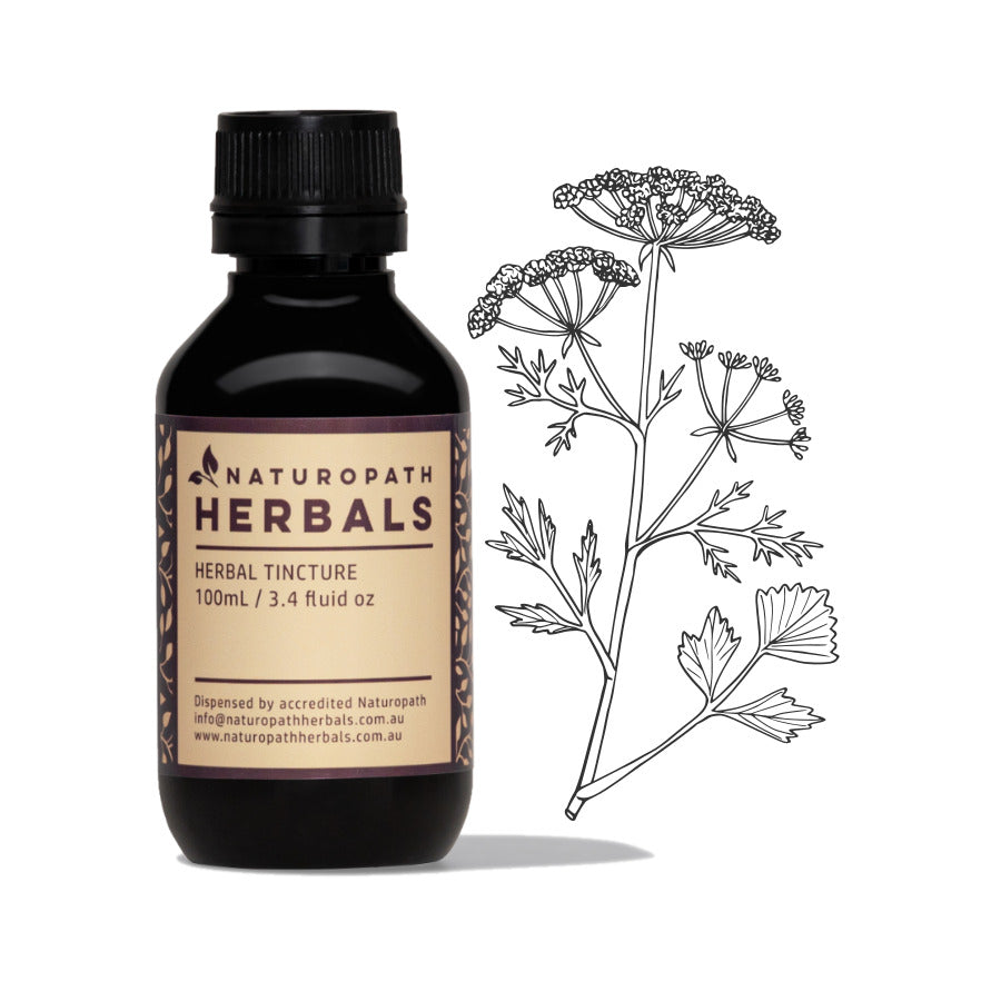 Aniseed Liquid Extract Tincture 50-500ml - Naturopath Herbals