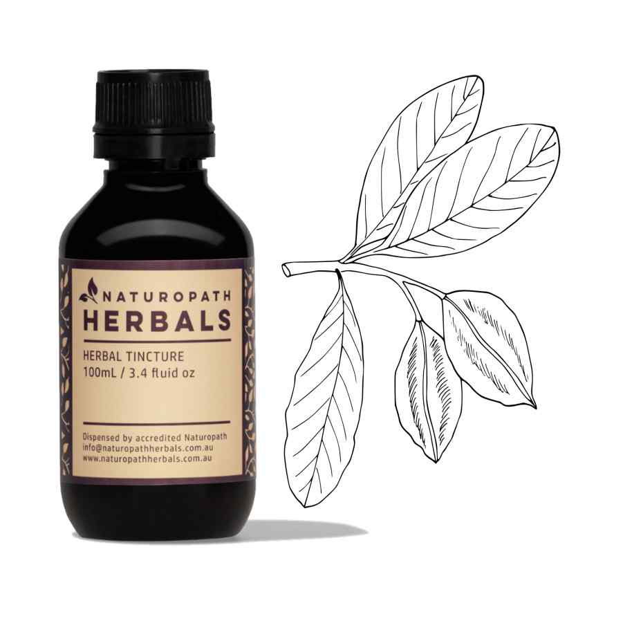 Arjuna Liquid Extract Tincture 50-500ml | Naturopath Herbals