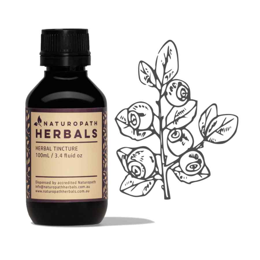 Bilberry Liquid Extract Tincture 50-500ml - Naturopath Herbals