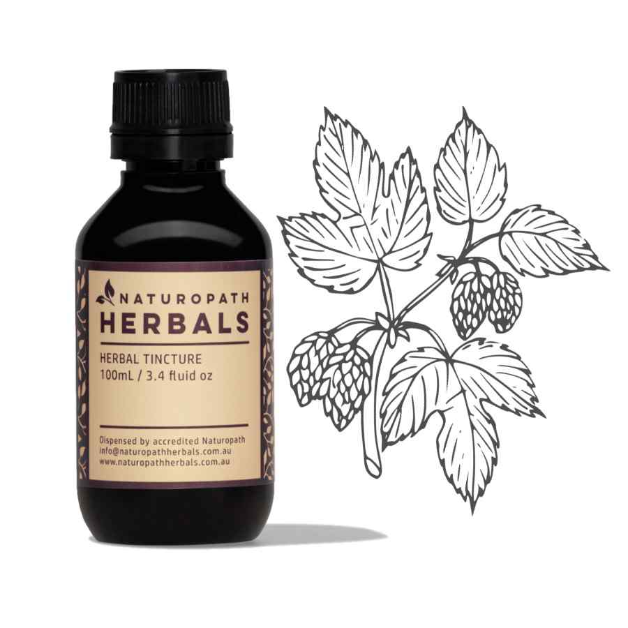 Hops Liquid Extract Tincture 50-500ml - Naturopath Herbals